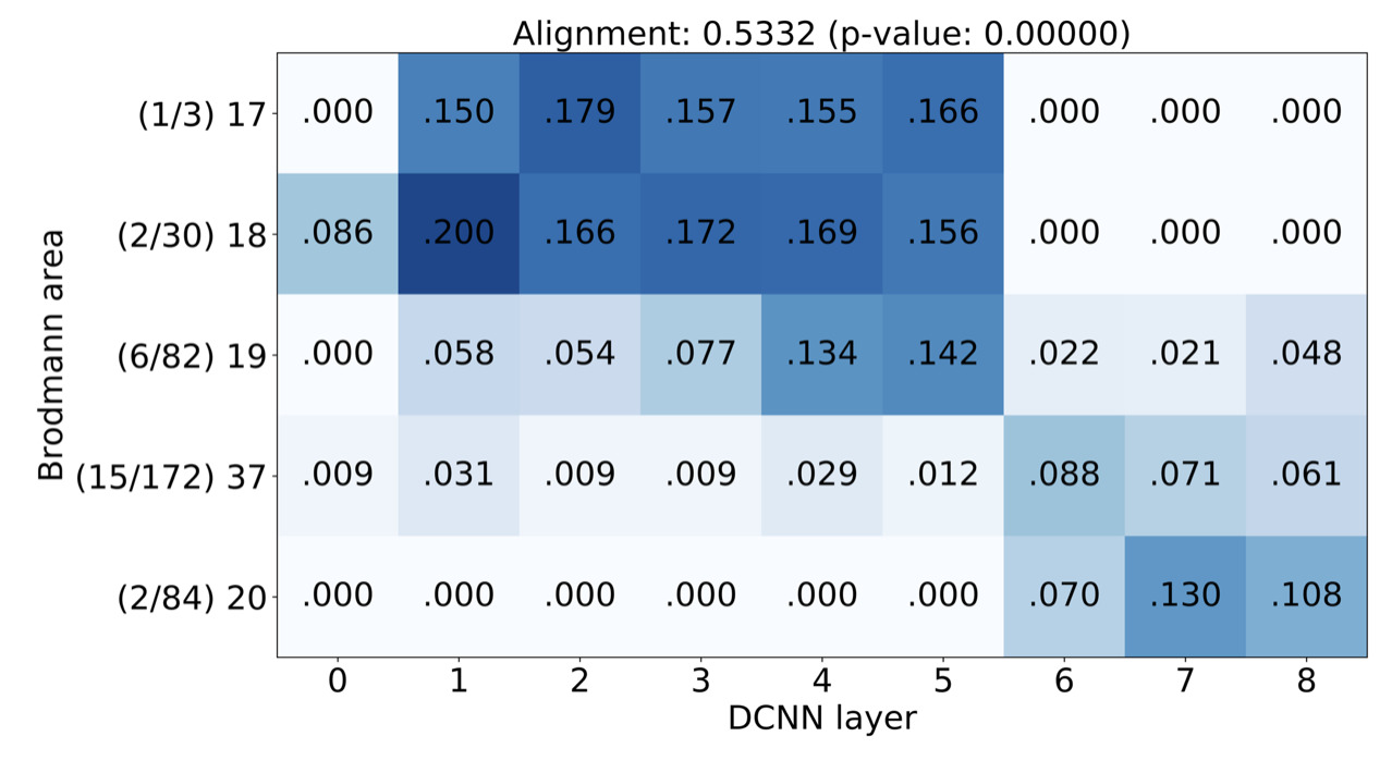 Comparing biological and artificial systems of vision - UniTartuCS blog
